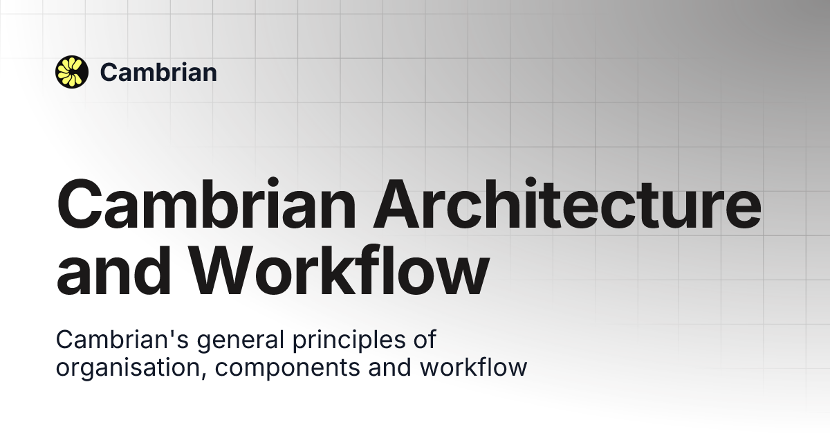 Cambrian Architecture and Workflow | Cambrian